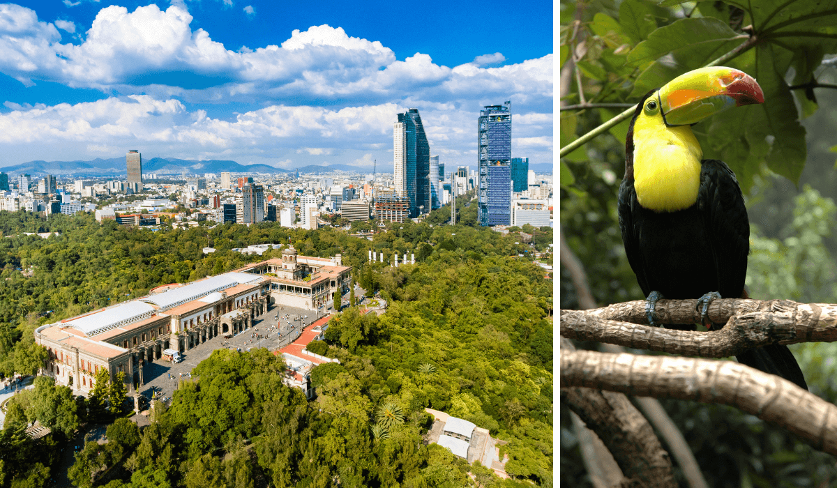 Magical Mexico with Kids: The Ultimate, Thrilling Family-Friendly ...